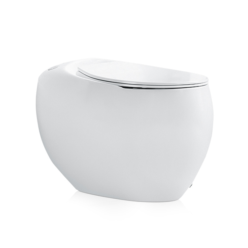 Luxury Toilet Seats and Commodes Price in Bangladesh | SWISH
