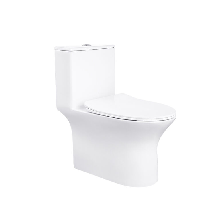 SWISH New Collections | Explore Our Latest Arrivals